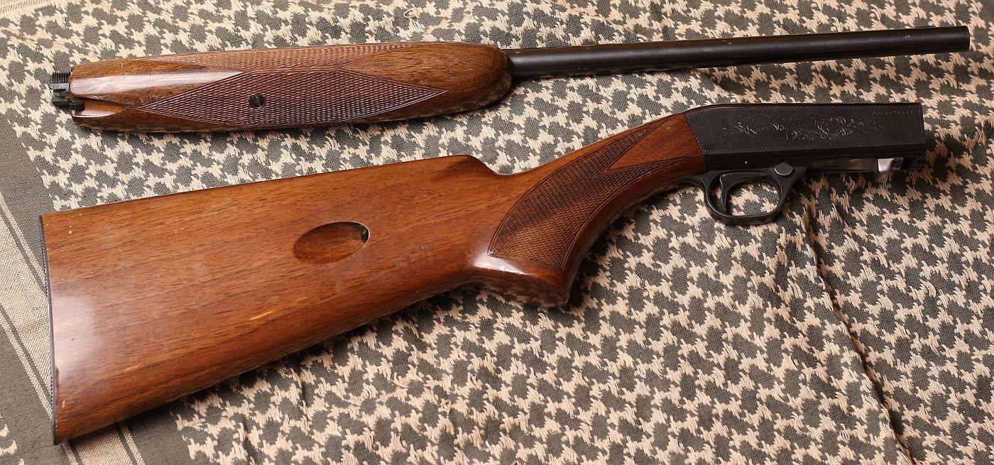 Browning SA-22 Takedown Review | The Hunting Gear Guy